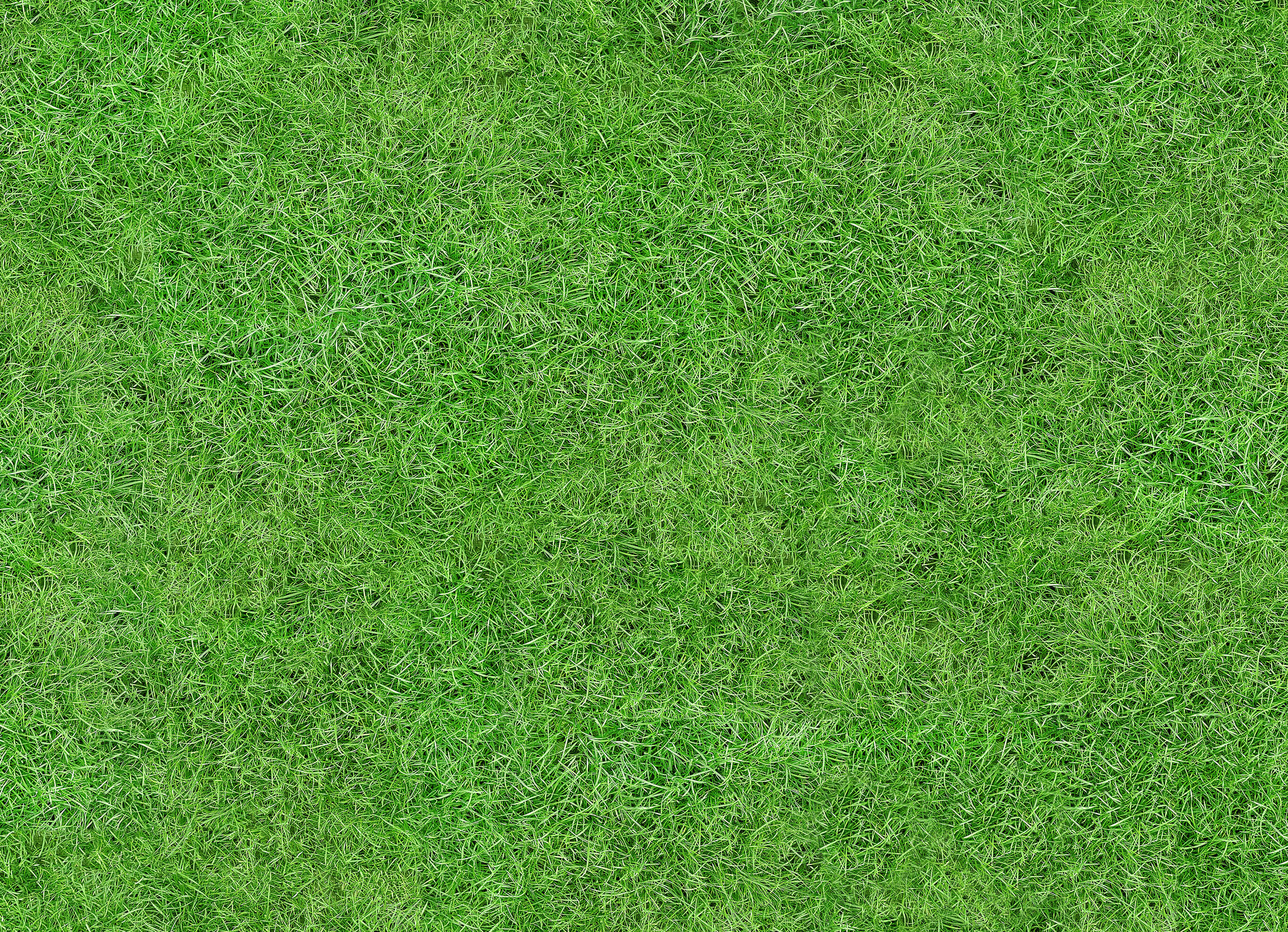 lawn-grass-effect-vinyl-flooring-green – Rugbyclub Hoek van Holland